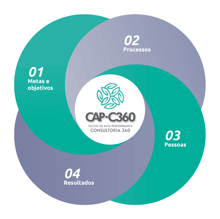 CAP-C360 - Consultoria virtual 360º